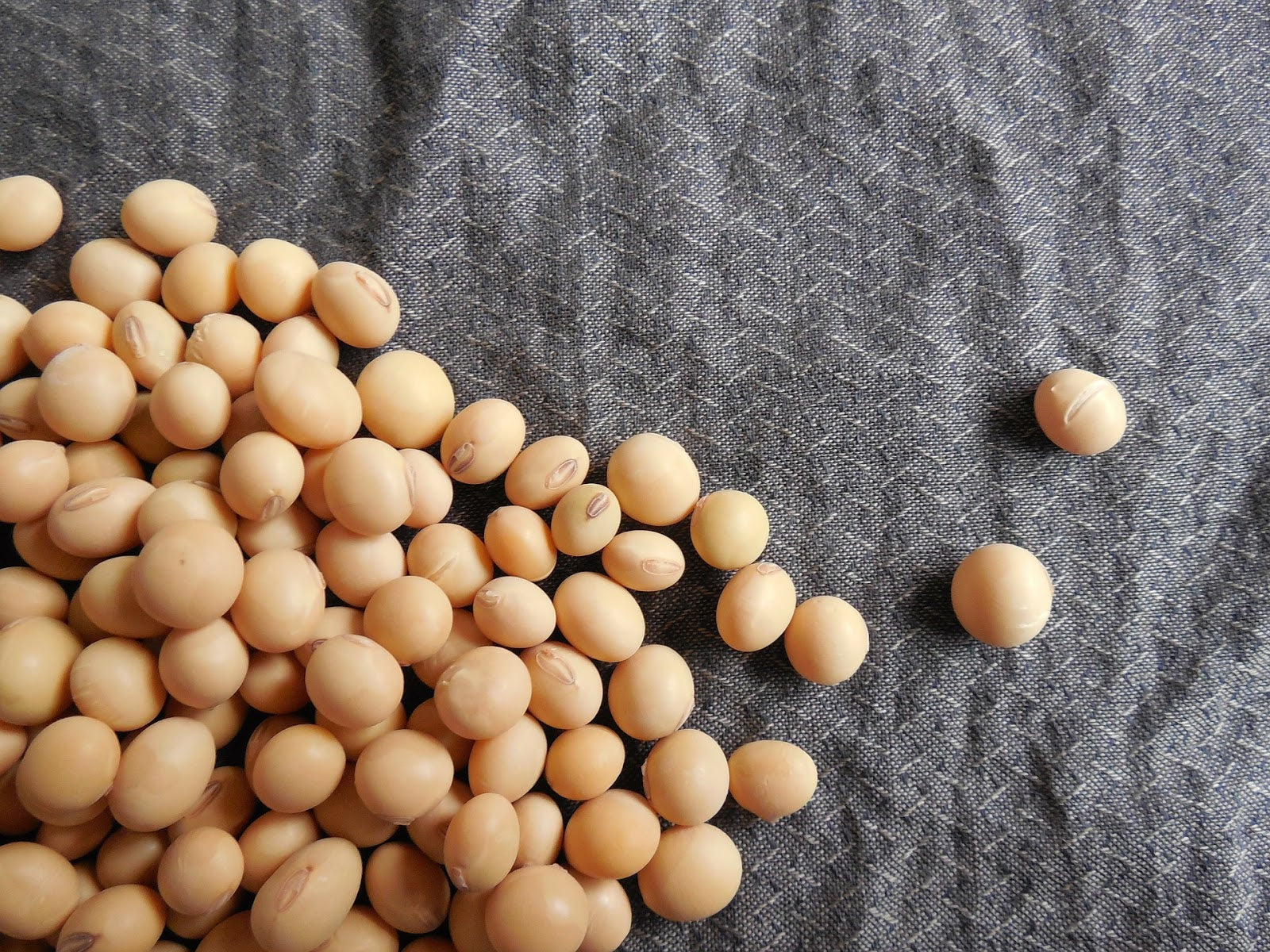 The Facts About Soy: What You Should Know – Over Easy